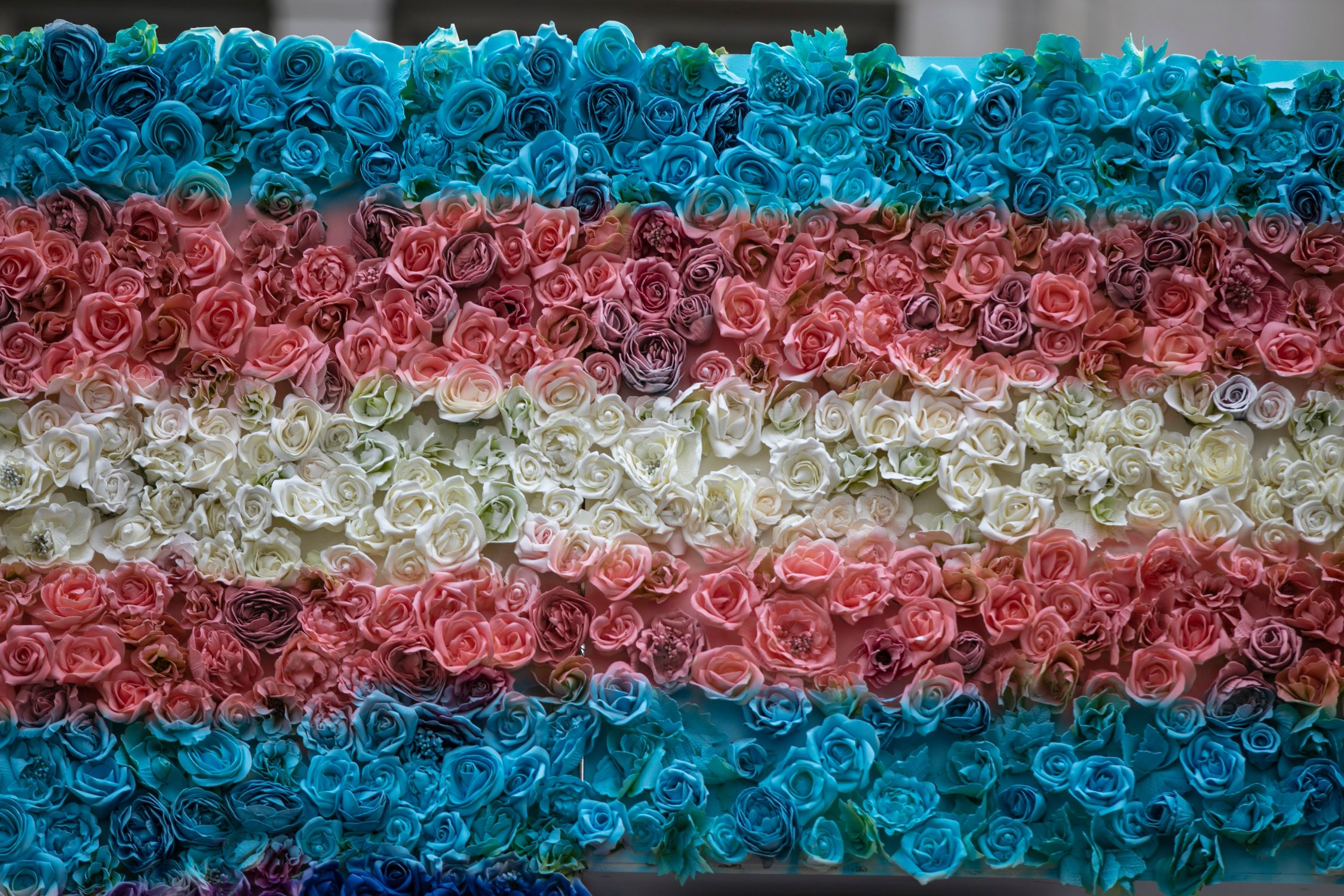 Reflections on Transgender Awareness Week | Diverse Sustainability ...
