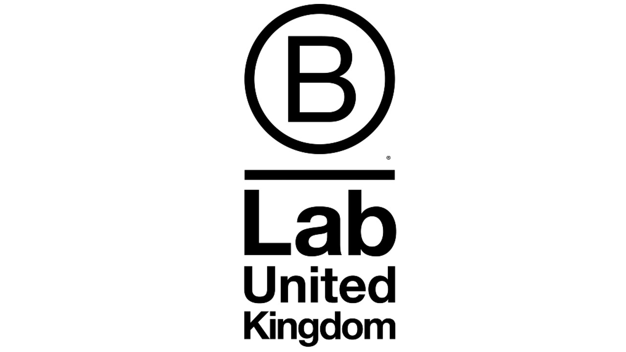 B Lab UK | Diverse Sustainability Initiative